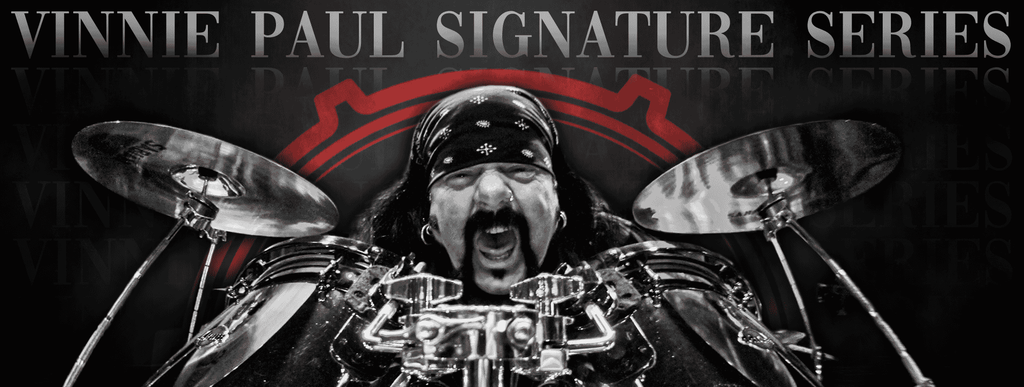 Vinnie Paul Signature Series | ddrum